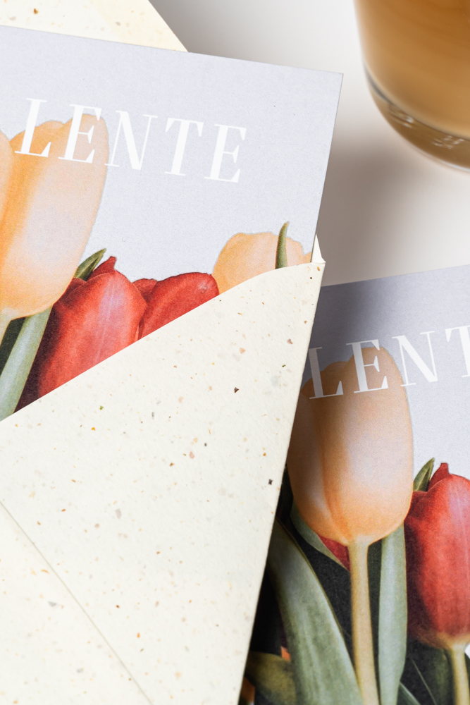 Tulip bulb envelopes | Print&Bind